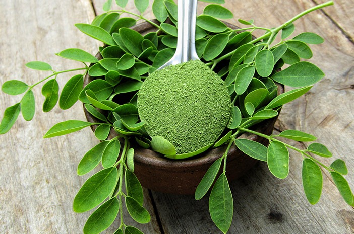 Ce este moringa și la ce beneficii să te aștepți de la ea