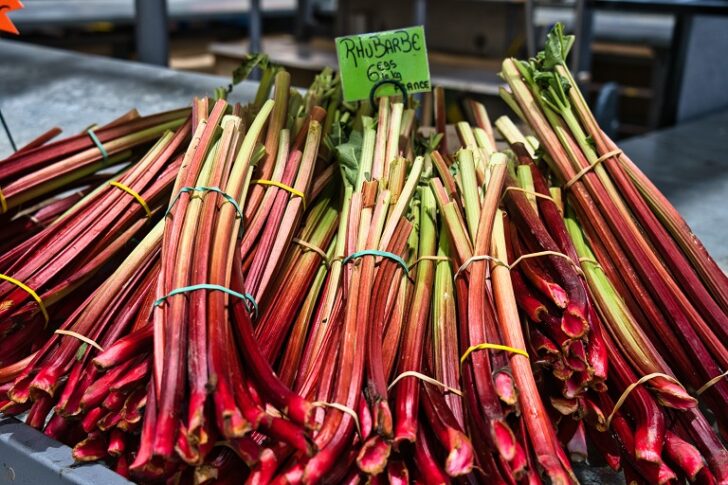 Rubarba: beneficii, utilizari, retete delicioase